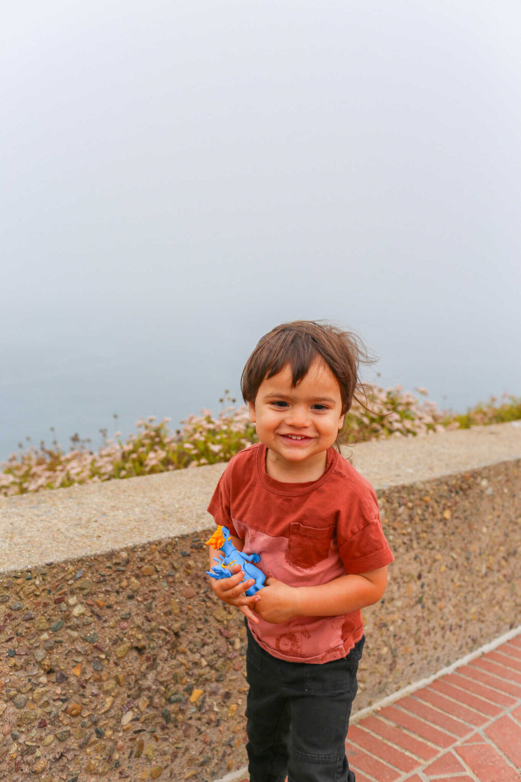 Point Loma Tide Pools - Travel Guide for First-Time Visitors - San ...