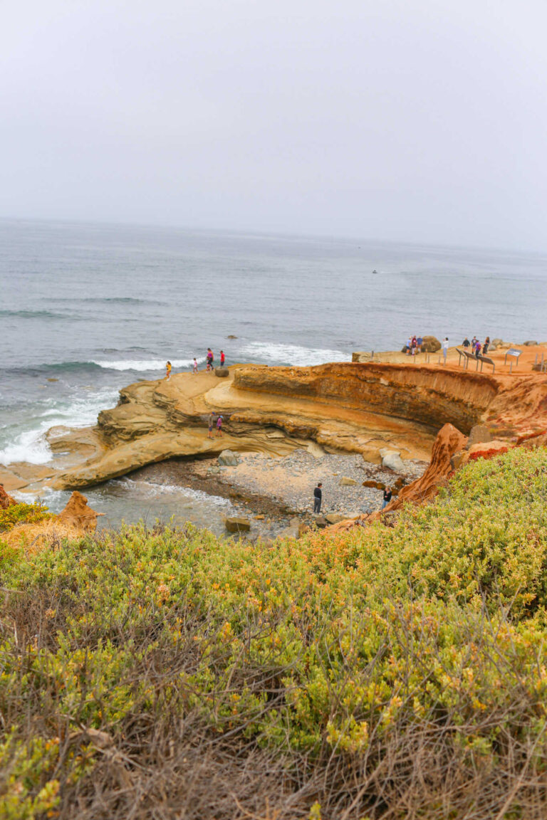 Point Loma Tide Pools - Travel Guide for First-Time Visitors - San ...