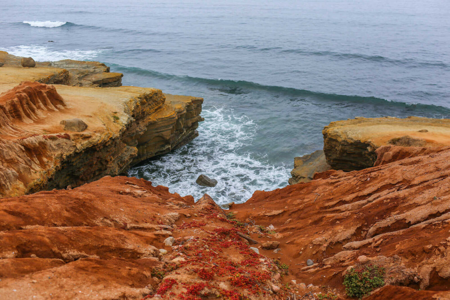 Point Loma Tide Pools - Travel Guide for First-Time Visitors - San ...