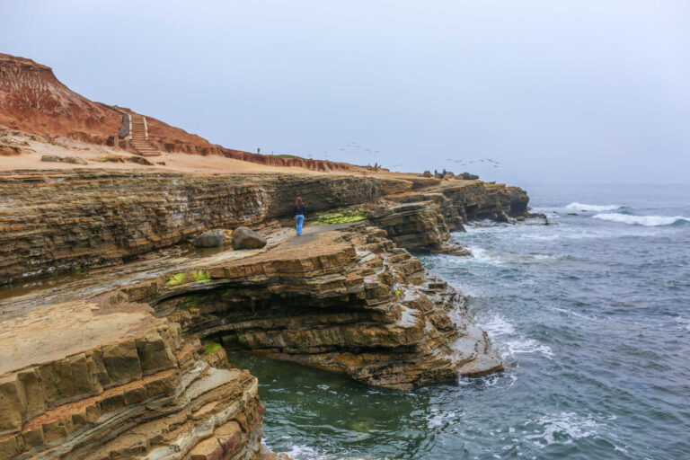 Point Loma Tide Pools - Travel Guide for First-Time Visitors - San ...