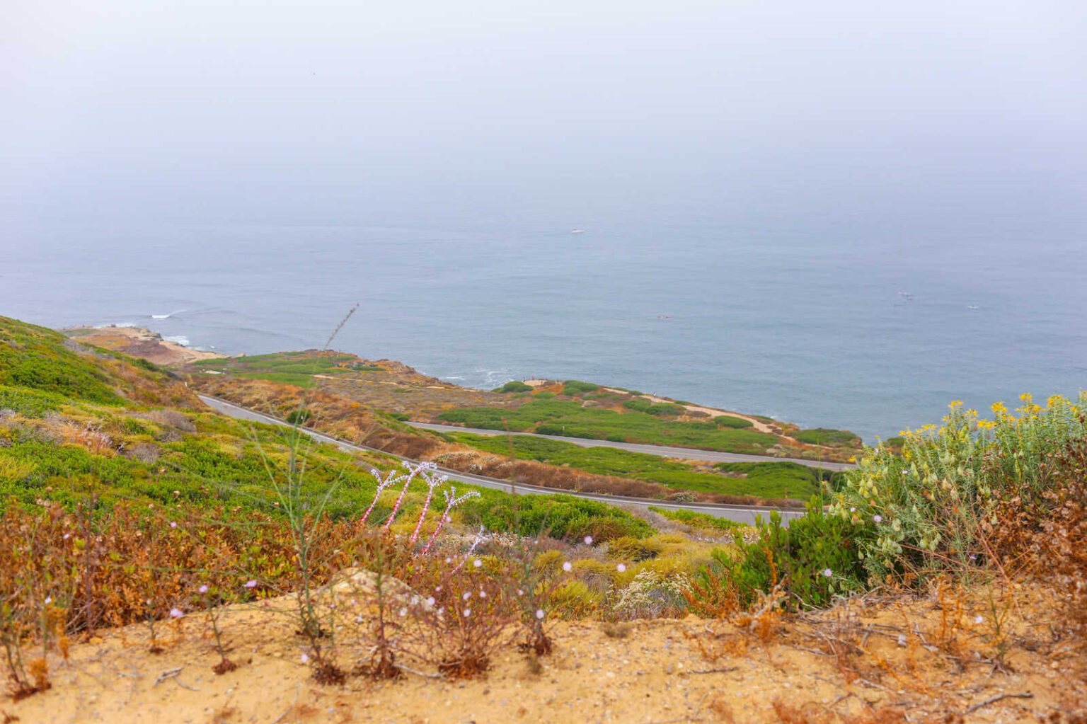 Point Loma Tide Pools - Travel Guide for First-Time Visitors - San ...
