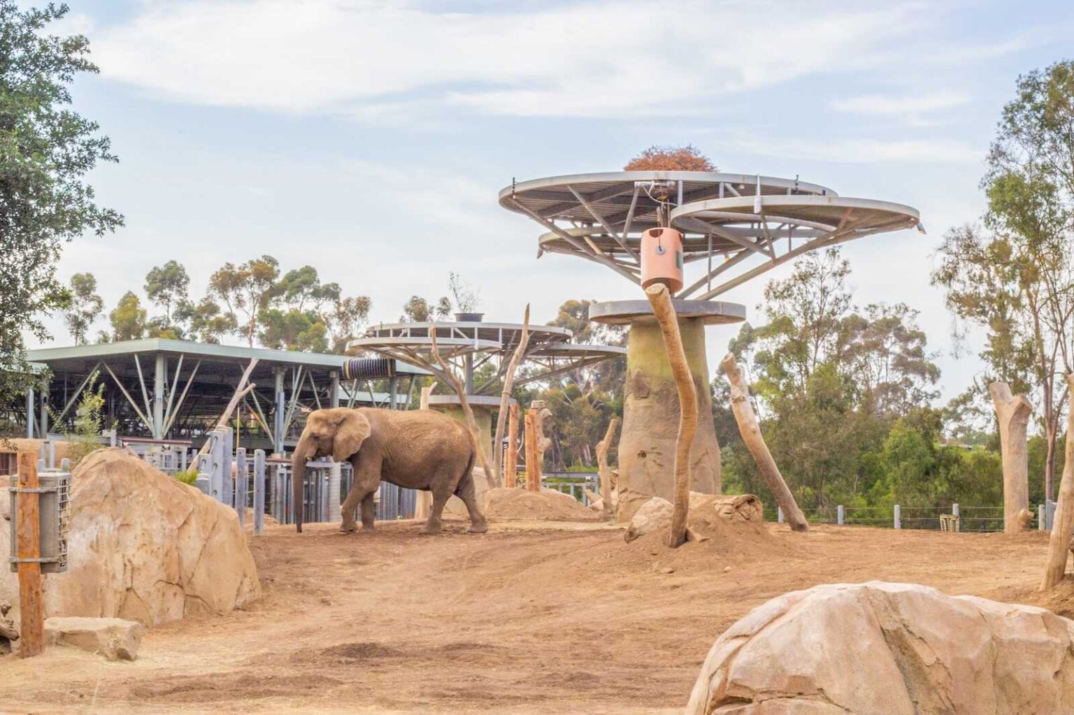 Guide to Visiting the San Diego Zoo - Everything to Know Before You Go ...