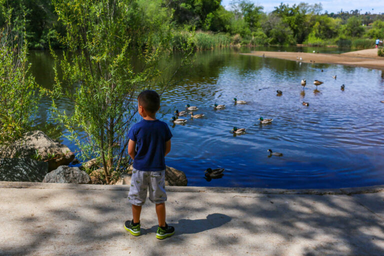 Guide to Kit Carson Park: The Heart of Escondido