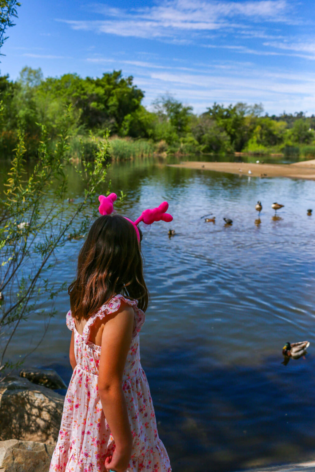 Guide to Kit Carson Park: The Heart of Escondido