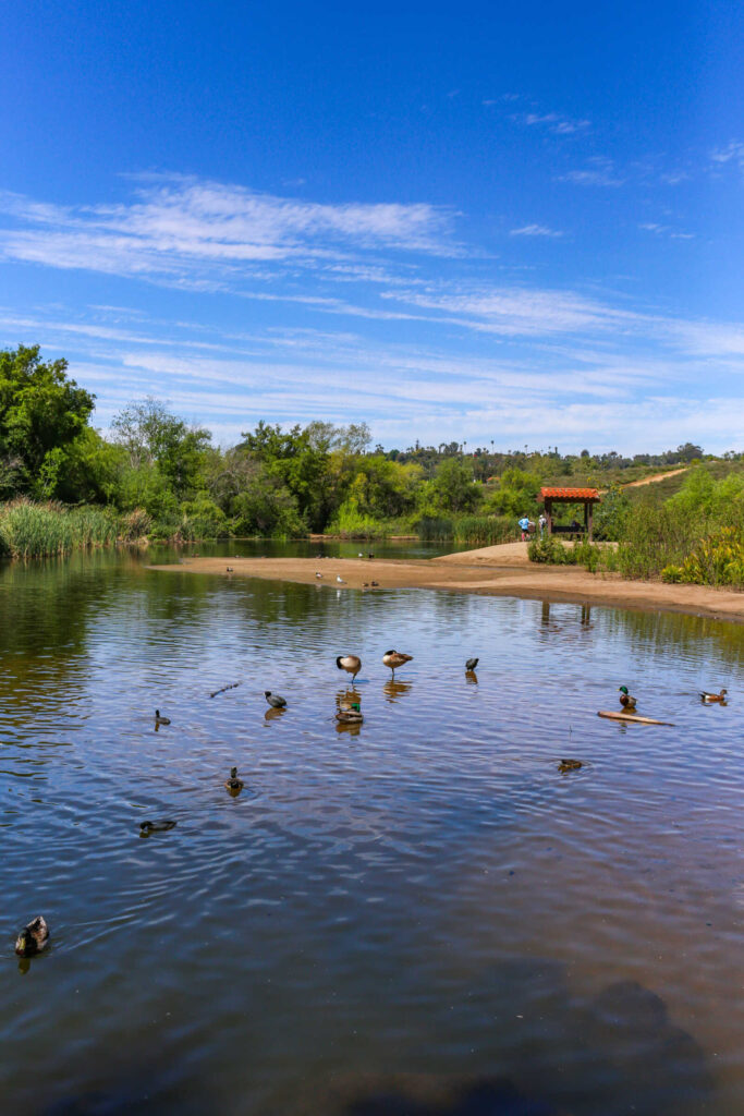 Guide to Kit Carson Park: The Heart of Escondido