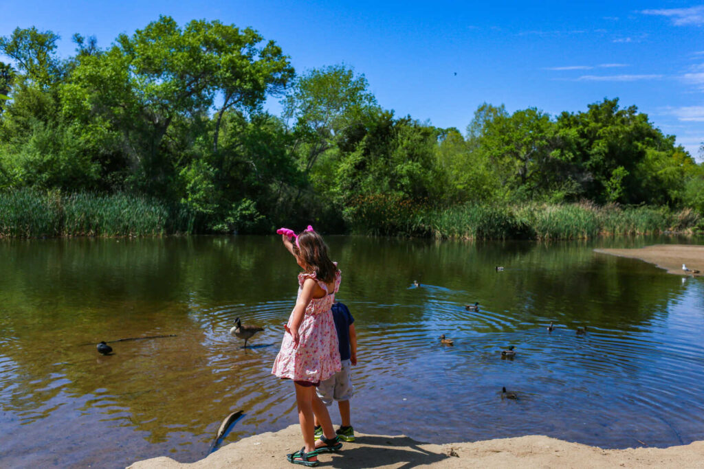 Guide to Kit Carson Park: The Heart of Escondido