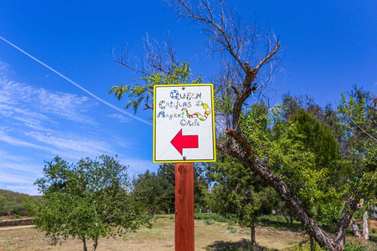 Guide to Kit Carson Park: The Heart of Escondido